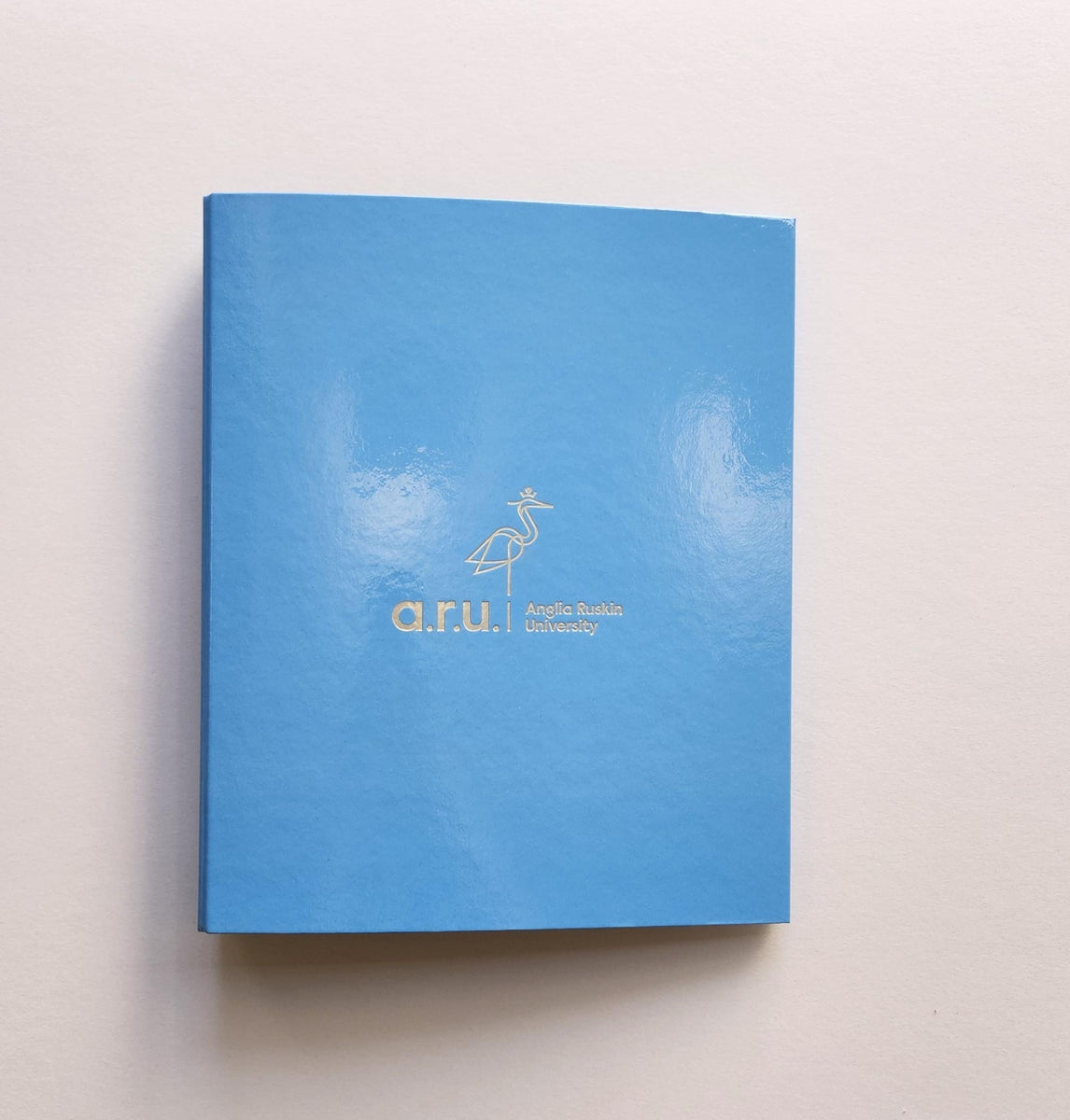 ARU Branded Ring Bound File – ARU Students' Union Shop
